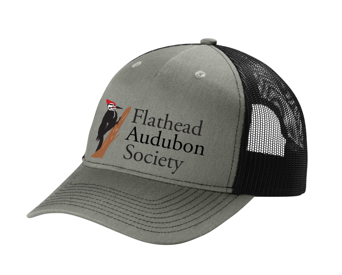 Logo Trucker Cap - Flathead Audubon Society