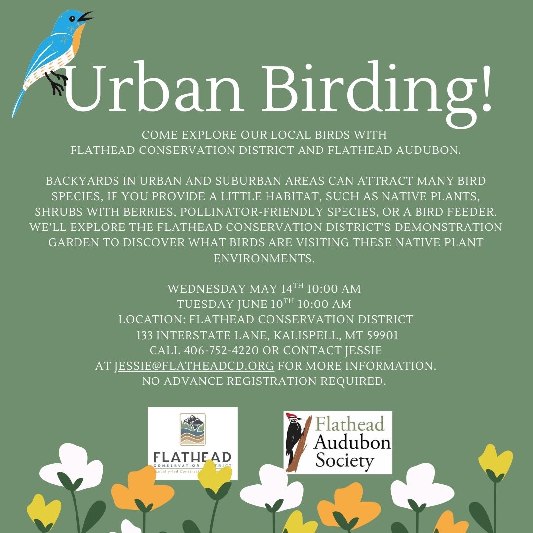 Urban Birding with Flathead Conservation District - Flathead Audubon Society